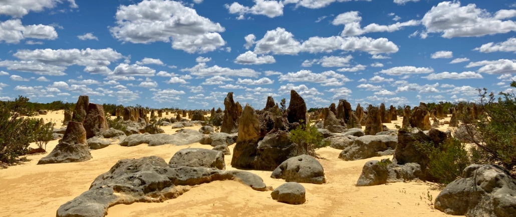 Pinnacles Day Tour: Experience the Majestic Pinnacles