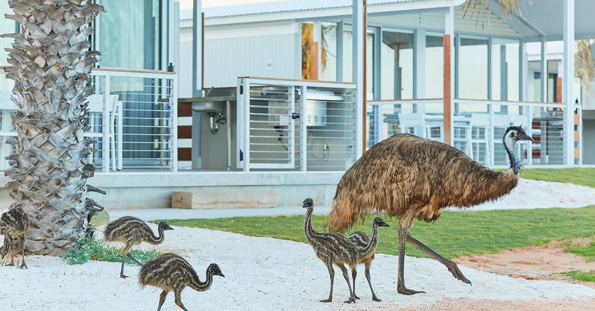Outback Coast 4 Day Tour - WA NT TOURS