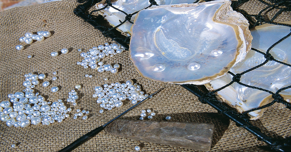 Exclusive Private Tour in Perth: Pearl Harvest & Sightseeing