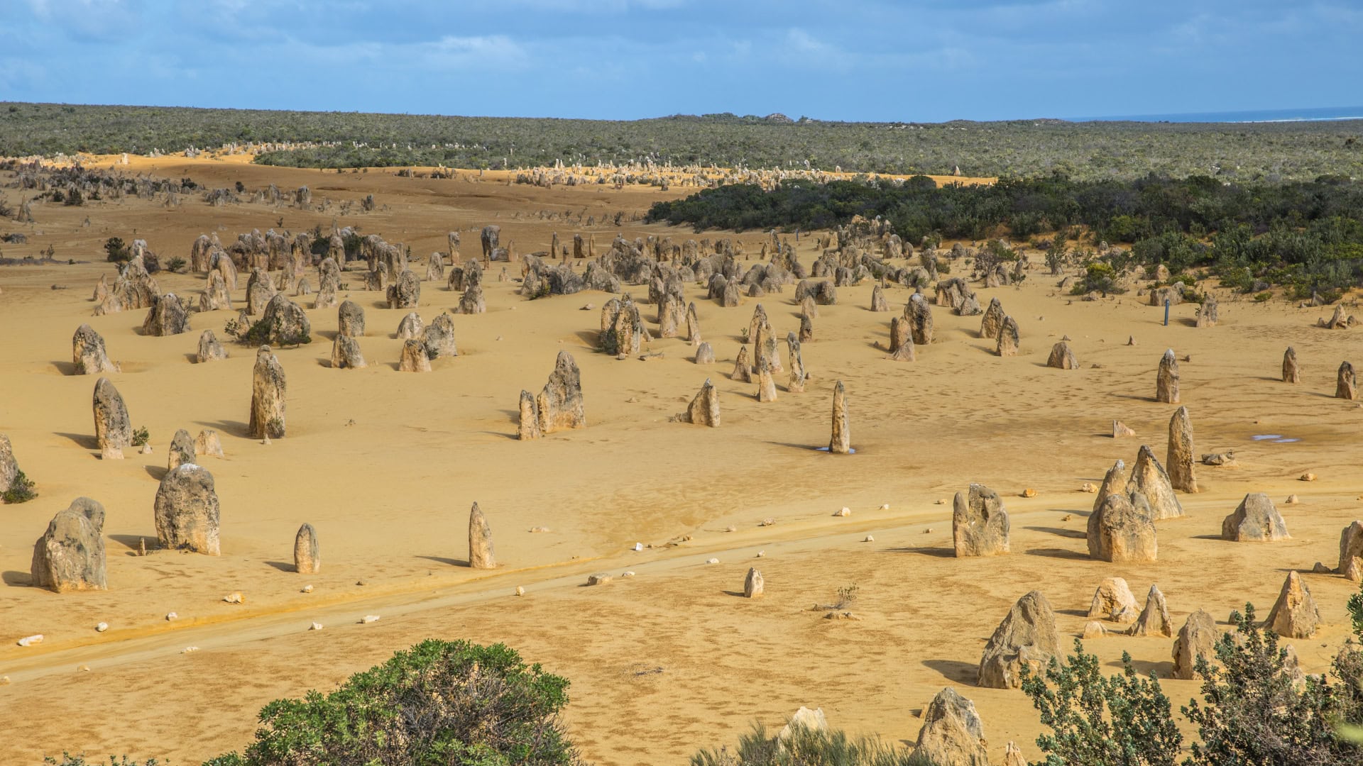 Pinnacles Desert Air Tour – Scenic Flight from Perth